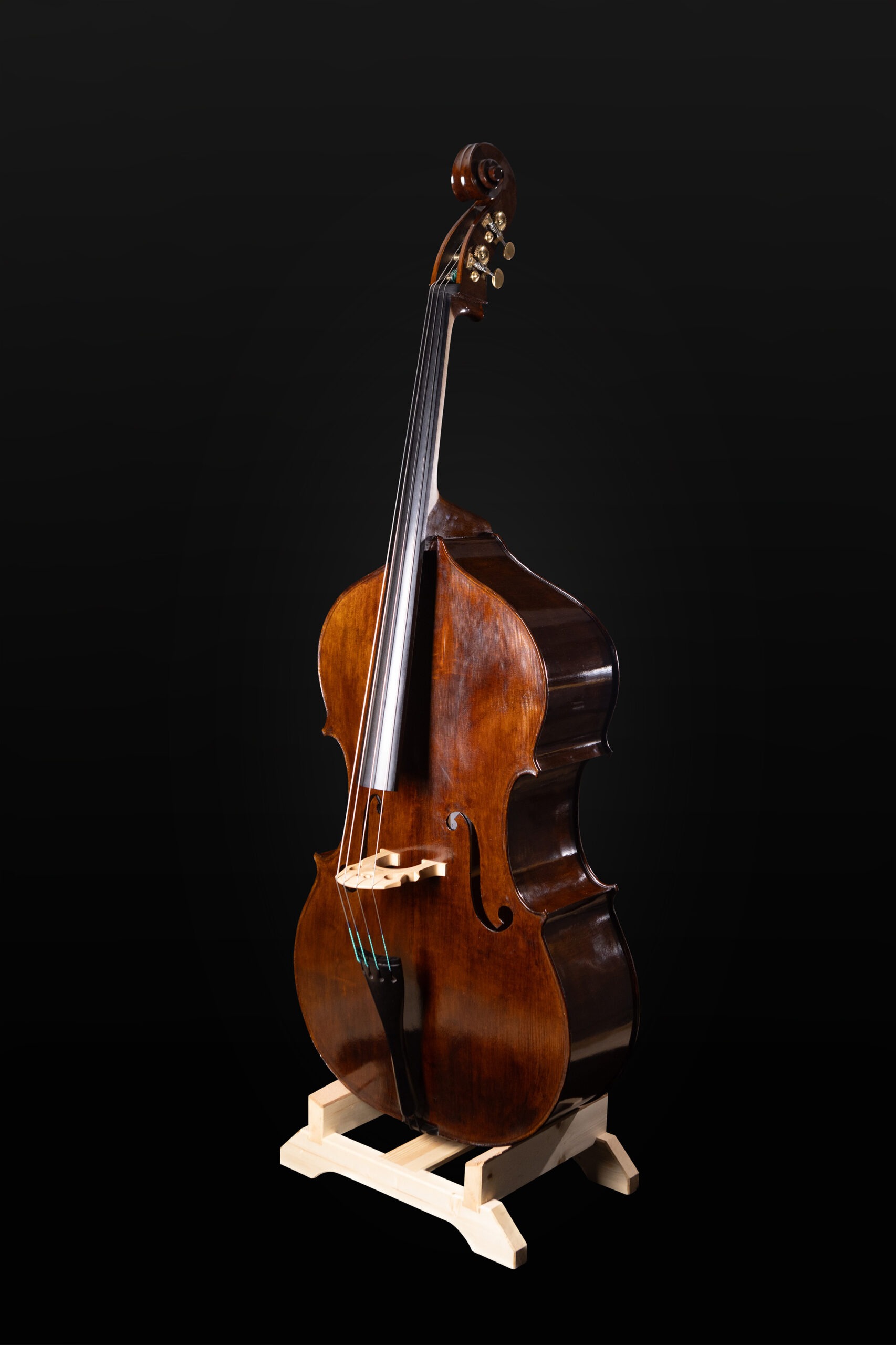 Double Bass Maker and Repairer - The Guild of Master Craftsmen