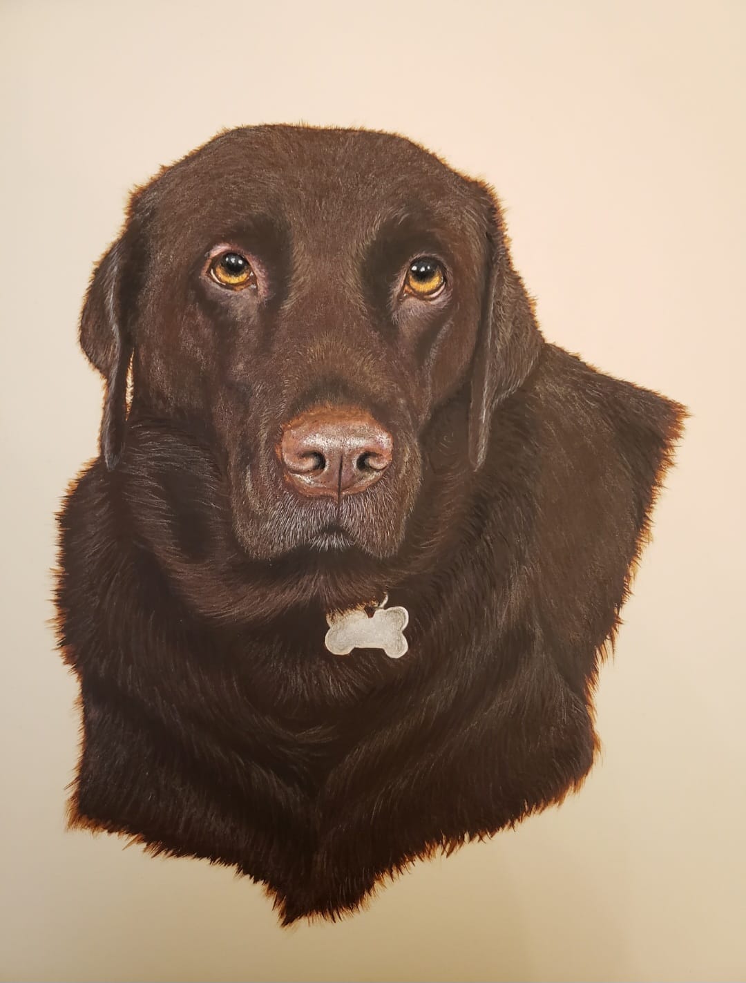 Clare Donegan BEM Animal and Wildlife Artist - The Guild of Master ...