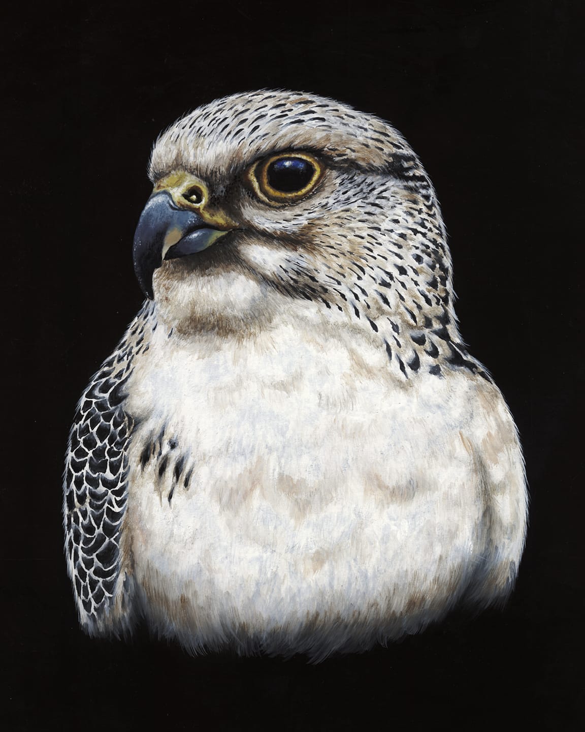 Clare Donegan BEM Animal and Wildlife Artist - The Guild of Master ...