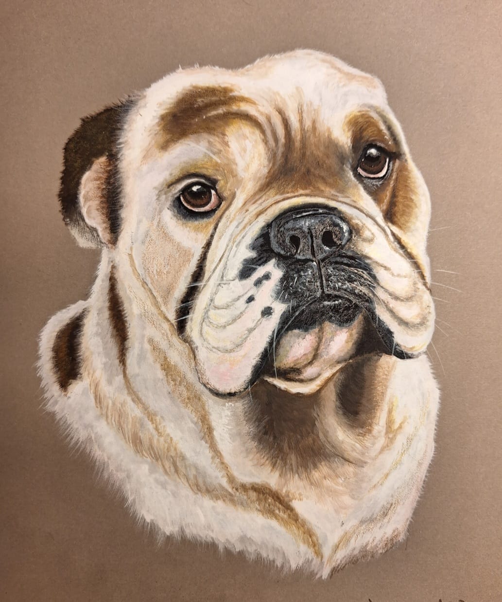 Clare Donegan BEM Animal and Wildlife Artist - The Guild of Master ...