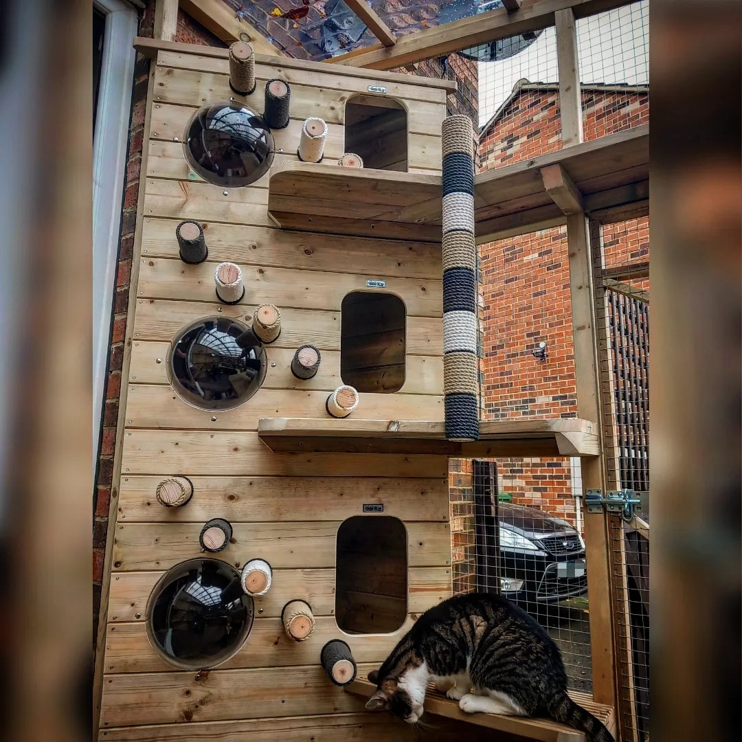 Catio King - The Guild of Master Craftsmen
