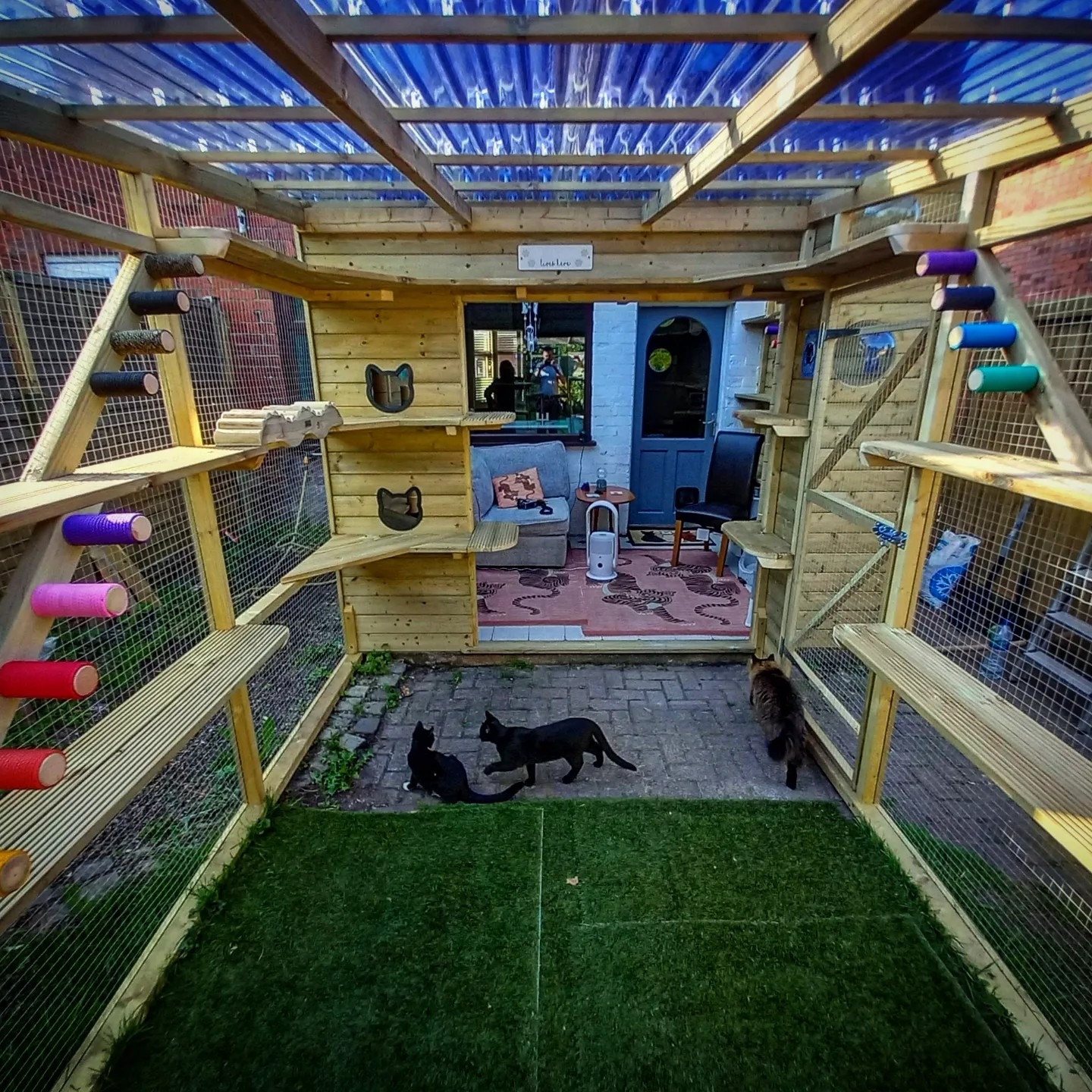 Catio King - The Guild of Master Craftsmen
